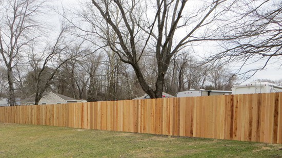 Can I Trim a Neighbor's Tree If It Hangs over My Fence?